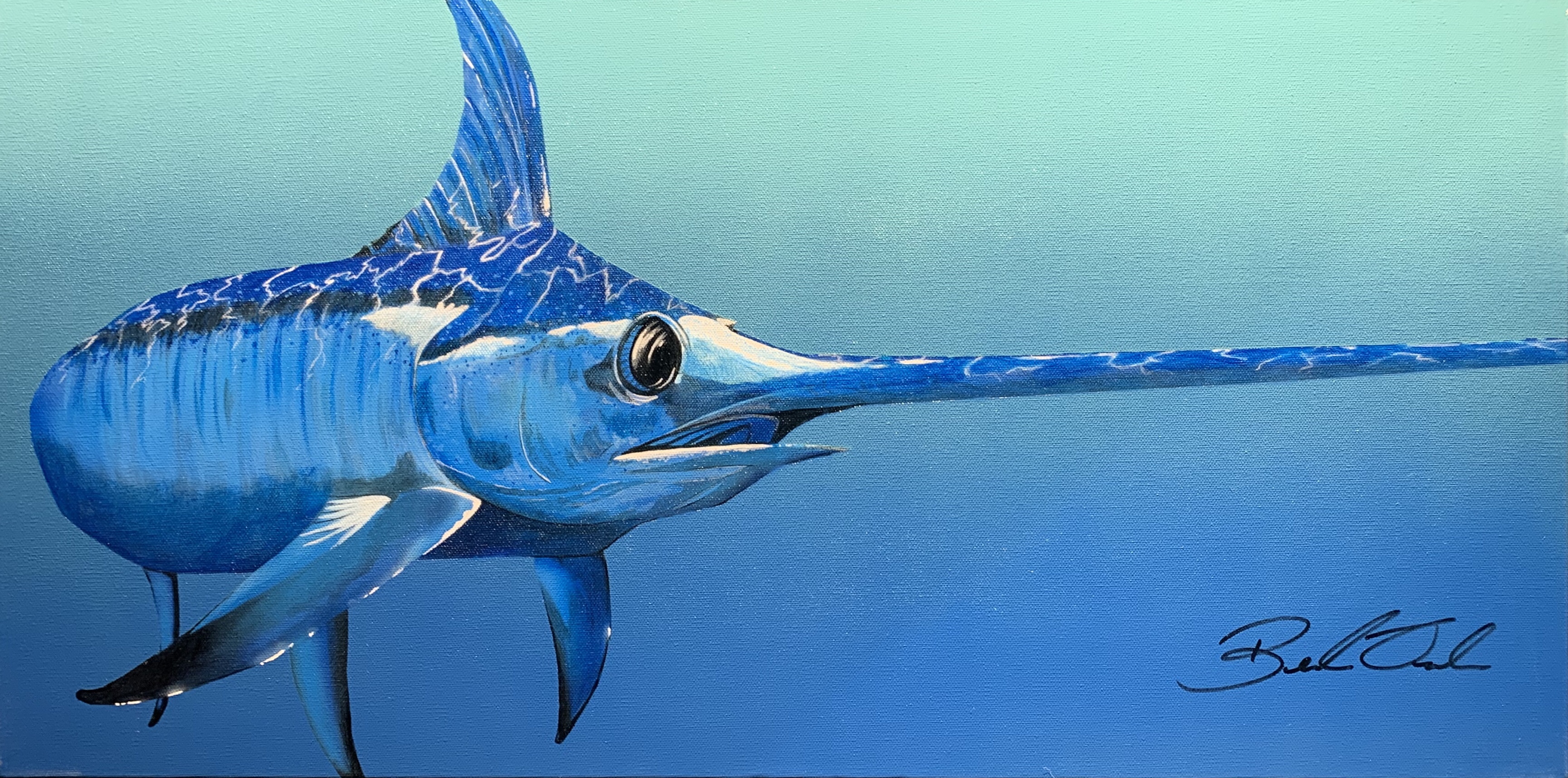 Marine Life Gallery – Key West Art