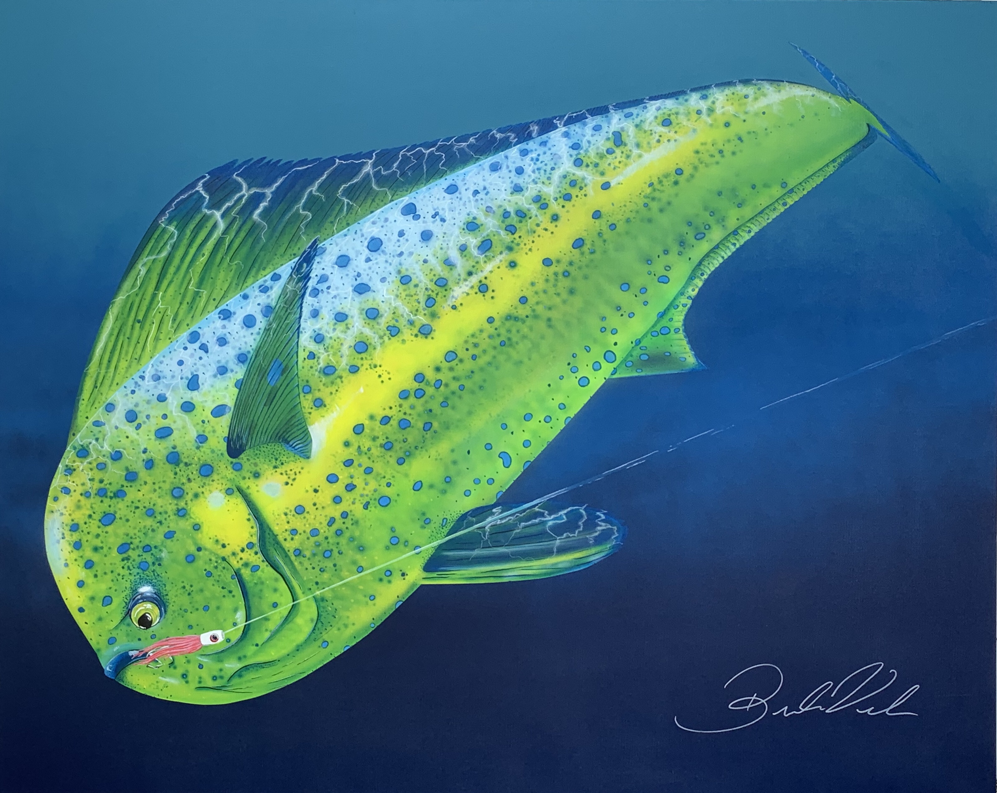 Marine Life Gallery – Key West Art